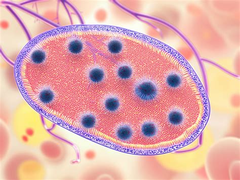 皮肤基底细胞癌会转移吗？ 皮肤基底细胞癌 基底细胞癌 肿瘤疾病大全癌症肿瘤科普知识 有来医生