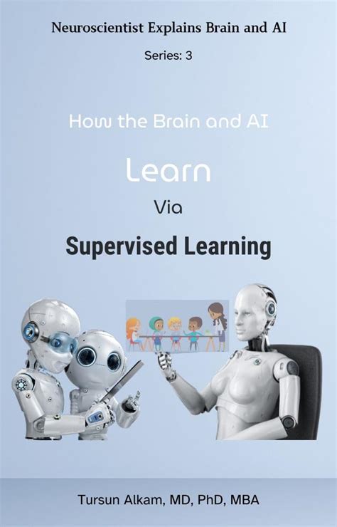 How Brain And Ai Learn Via Supervised Learning Neuroscientist Explains Brain And Ai Book 3