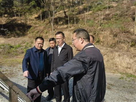 丰顺县人民政府门户网站