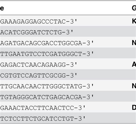 List Of Genes Primer Sequences Genbank Accession Numbers And Product