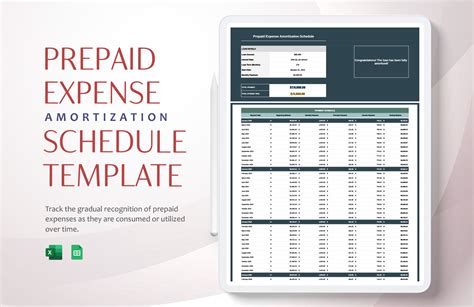Prepaid Insurance Amortization Schedule Template