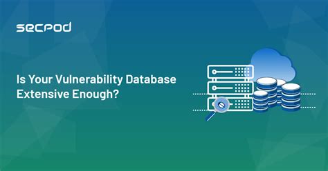 Role Of Vulnerability Database In Vulnerability Management