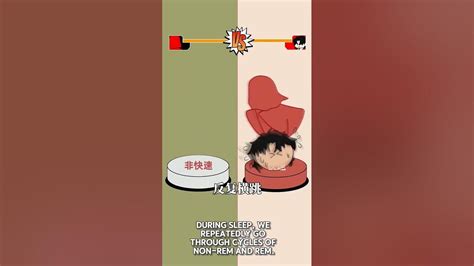 ‘鬼压床难道真的是被 压了吗？no带你走近科学！ 科普 冷知识 原创动画 Youtube