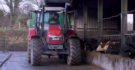 Abp Demo Farm Cattle And Store Lamb Performance Update