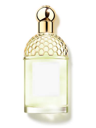 Aqua Allegoria Herba Fresca Type Formula Labtorium 2025