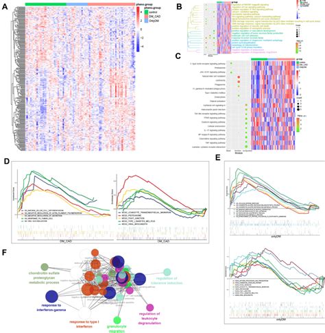 functional enrichment analysis of phenotype related modules a