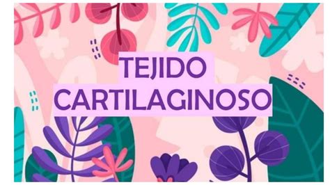 Tejido Cartilaginoso Karimedsnotes Udocz