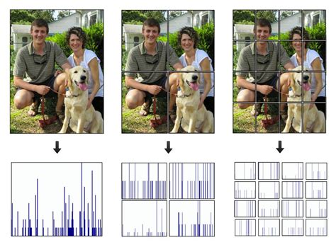 Object Classification And Localization Using Surf Descriptors