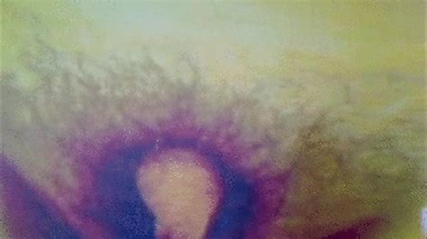 Mico Mini Penis Humilation Adora Cashs Fetish Xxxtravaganza Clips4sale