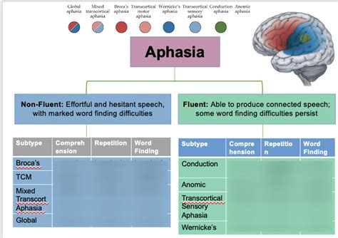 Language Disorders Of Adults Quiz 2 Diagram Quizlet