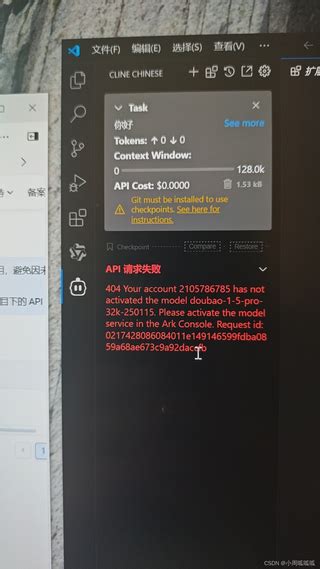 请问在vs code里面安装cline插件？总是显示用不了，是因为什么问题 开发工具 csdn问答