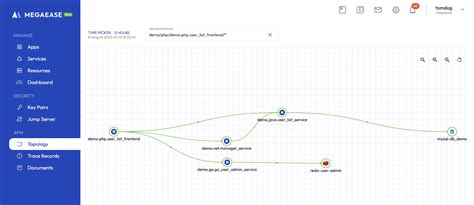 megaease cloud 用户手册 docker 应用 和 apm
