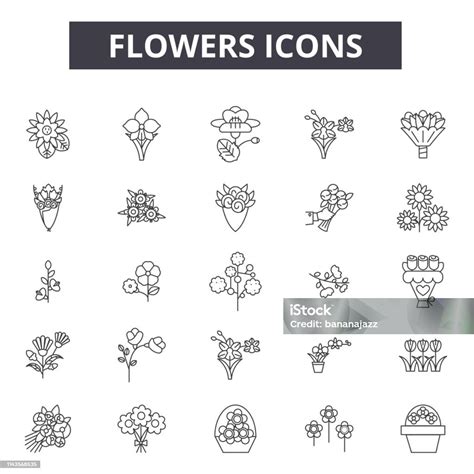 꽃 라인 아이콘 기호 설정 벡터 꽃 개요 개념 삽화 꽃 자연 봄 꽃 여름 고립 된 식물 개체 그룹에 대한 스톡 벡터 아트 및 기타 이미지 Istock