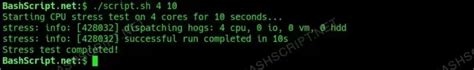 Bash Script CPU Stress Test Example BashScript Net