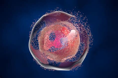 Proteintech Group On Linkedin New Blog Alert Pyroptosis Is An