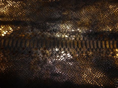 Metallic Leather 8x10 Mystic Python Bronze And Gold On Black Thin