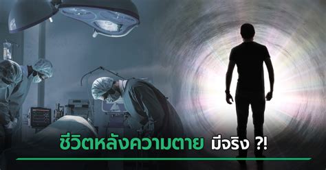 ความคิดเห็น เปิดประสบการณ์หมอ 37 ปี เจอเคสตายแล้วฟื้นเกือบ 5 000 ครั้ง