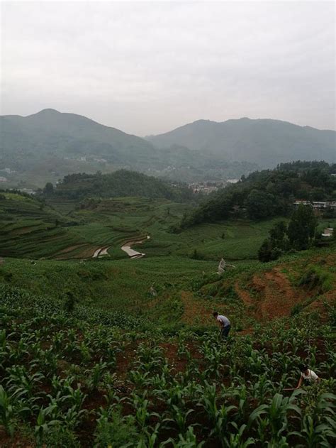 農村那些真實的場景 每日頭條