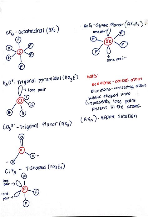 Solved Thank You Match Each Molecule With The Correct Molecular Course Hero