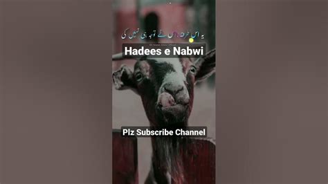 Hadees E Nabvi Salalah Ho Aleh Wa Alehi Wasallam Gulshaneadab Viral