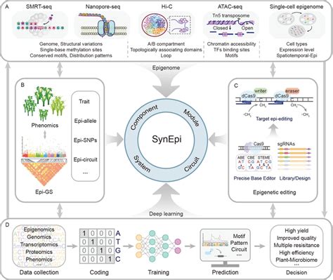 New Technologies Relevant To SynEpi Systems In Plants A High