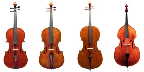 Our Instrument Inventory — Terra Nova Violins