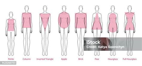 Set Of Women Body Shape Types Apple Pear Column Brick Hourglass