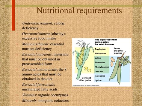 Ppt Nutritional Requirements Powerpoint Presentation Free Download