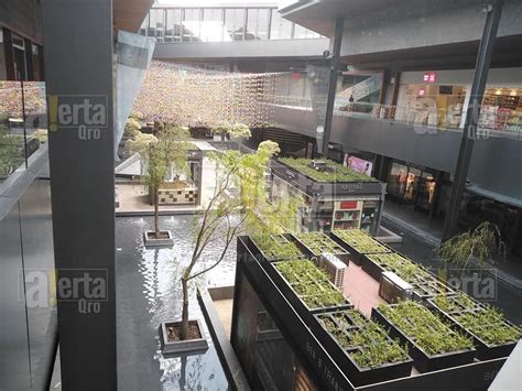 Alertaurbana Coronavirus Alertaqro Noticias Querétaro