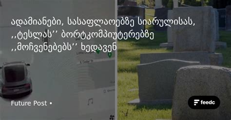 ადამიანები სასაფლაოებზე სიარულისას ტესლას ბორტკომპიუტერებზე