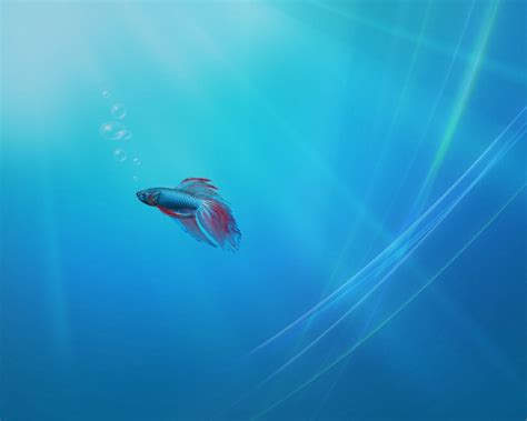 桌酷精选套图 2009 02 27 壁纸246壁纸 精选套图 200壁纸图片 精选壁纸 影视图片素材 桌面壁纸