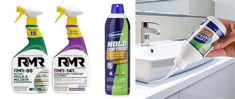 Top 5 Mold Killer Products Reviews And Buying Guide For Homes