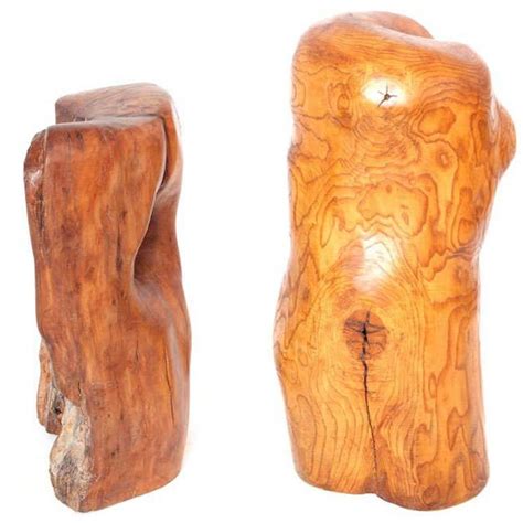 Coppia Di Sculture Da Terra In Legno Moderne Astratte E Organiche Di
