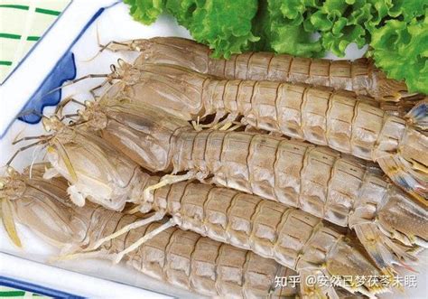 皮皮虾的这几种做法，一道就让你流口水！！ 知乎