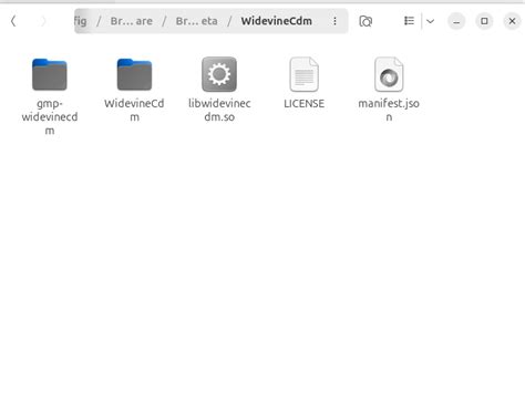 Brave Widevine On Ubuntu Arm64 Web Compatibility Brave Community