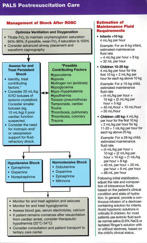 Pals Guidelines And New Algorithms Licensed Practical Nurse Pediatric