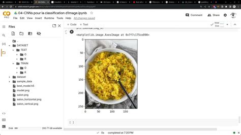 Vidéo 98160 Tensorflow Charger Les Images Avec Imagedatagenerator