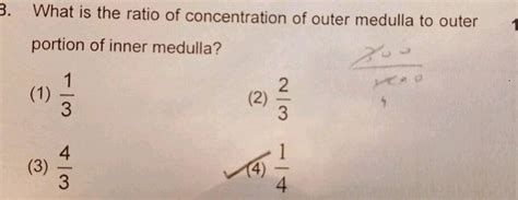 3 What Is The Ratio Of Concentration Of Outer Medulla To Outer Portion Of Inner Medulla Win