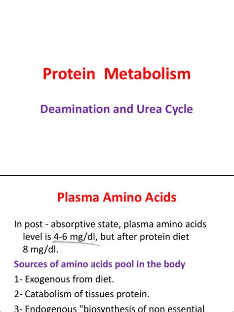 Bio Urea Cycle Pdf Nucleotides Biosynthesis
