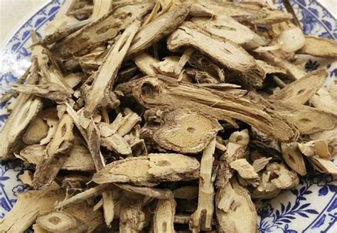 通光散图片 通光散 花图片 第9页 大山谷图库