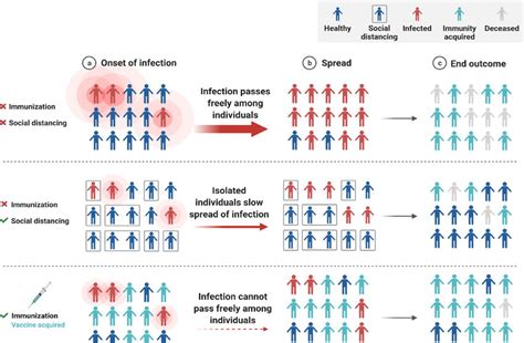 A Theory Of Herd Immunity And A Concept Of Social Distance Download