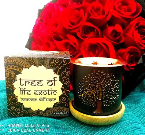 Tree Of Life Exotic Incense Diffuser Beauty And Personal Care Fragrance