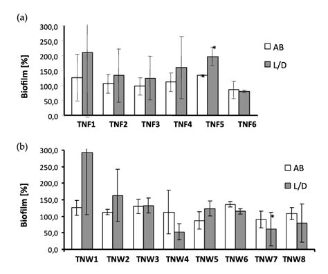 S Aureus Atcc 29213 Aggregatesbiofilm Formation After 24 H On The