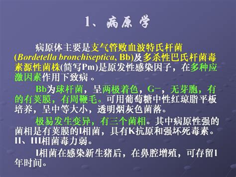 猪传染性萎缩性鼻李俊霞