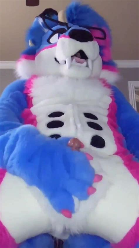 Fursuit Sex Video 4