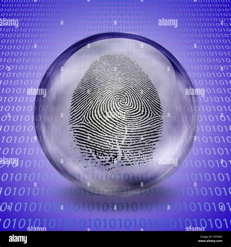 Fingerprint Technology Futuristic Coding Digital Hi Res Stock