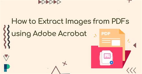 Extract Images From Pdf Using Adobe Acrobat Step By Step Guide