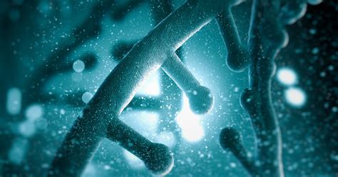 Biorbyt Antibodies Proteins And Elisa Kits Supplied By Bio Connect