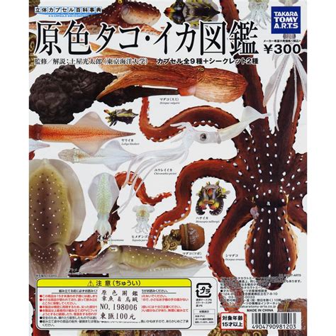 立體百科動物事典 原色立體動物圖鑑 原色章魚烏賊墨魚圖鑑 大全套11隻售 蝦皮購物
