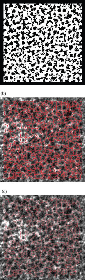 Three Steps In The Skeletonization Process The Binary Image A Is